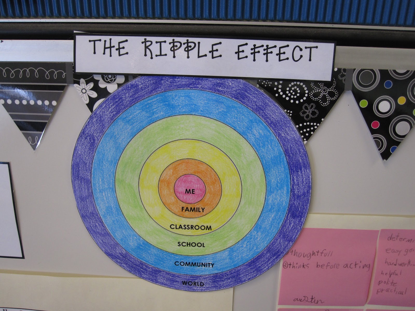 Tales from a Tidy Teacher: An Inquiry into Citizenship