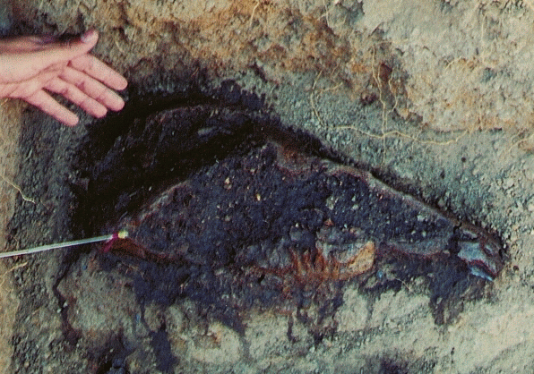 El viaje biológico : Tomayate, el mayor yacimiento fósil de Centroamérica