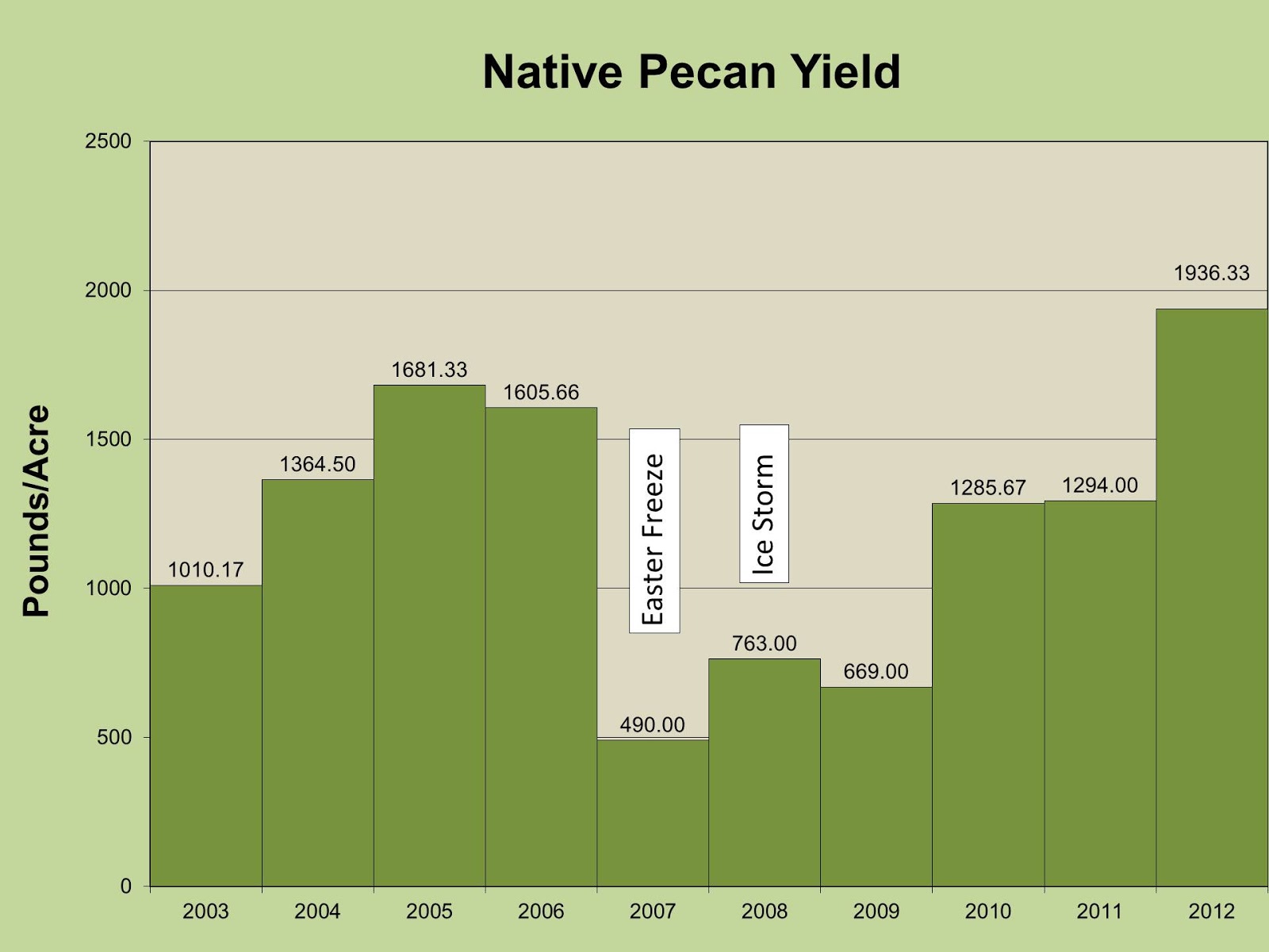 Northern Pecans: 2012