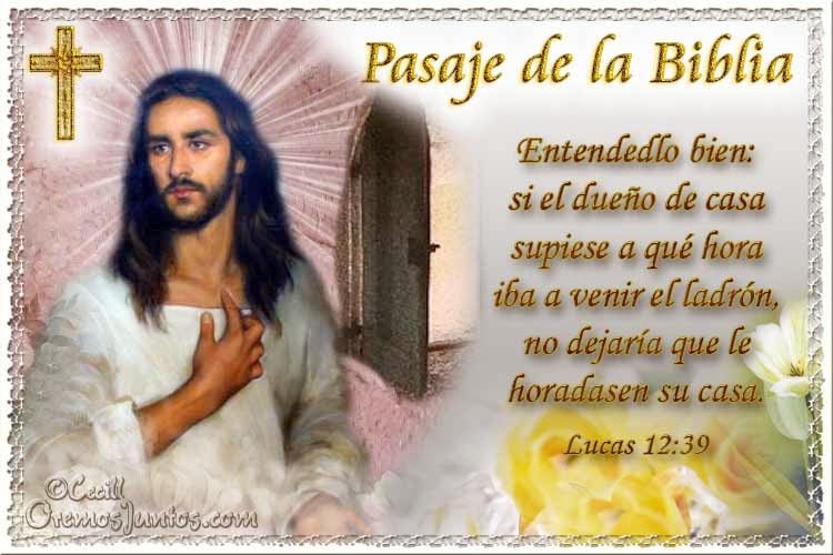 Vidas Santas: Santo Evangelio según san Lucas 12:39