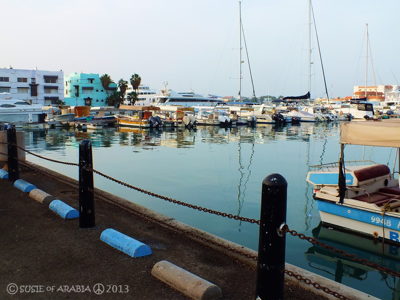 SUSIE of ARABIA: Images from the Red Sea