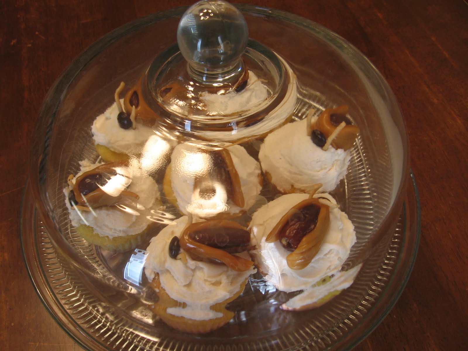 This Is What We're Munching...: Cockroach Cupcakes