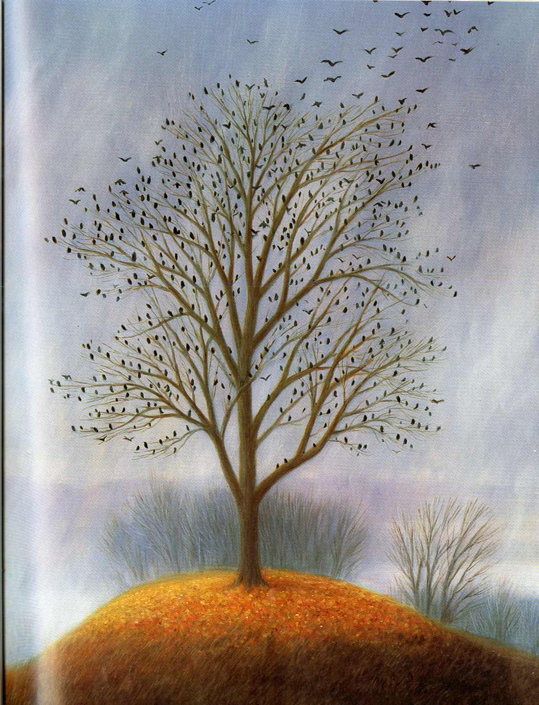 Read Me A Story: Sky Tree