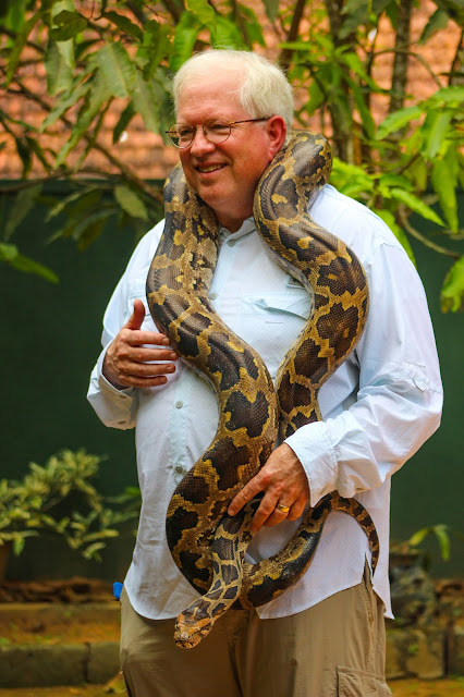 Cannundrums: Indian Rock Python