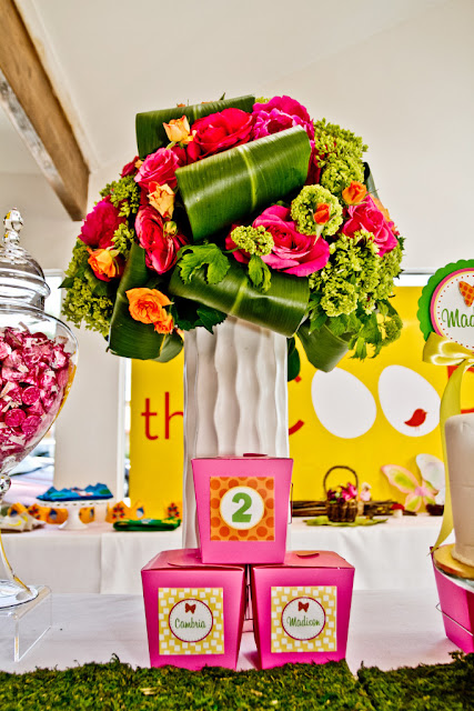 Amanda's Parties To Go: Fairy Party Customer Feature