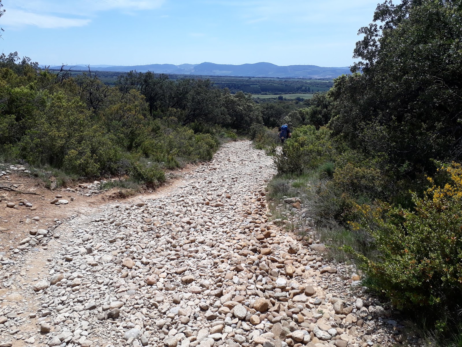 Von Nürnberg bis nach Santiago - der Jakobsweg-Blog von Roland und ...