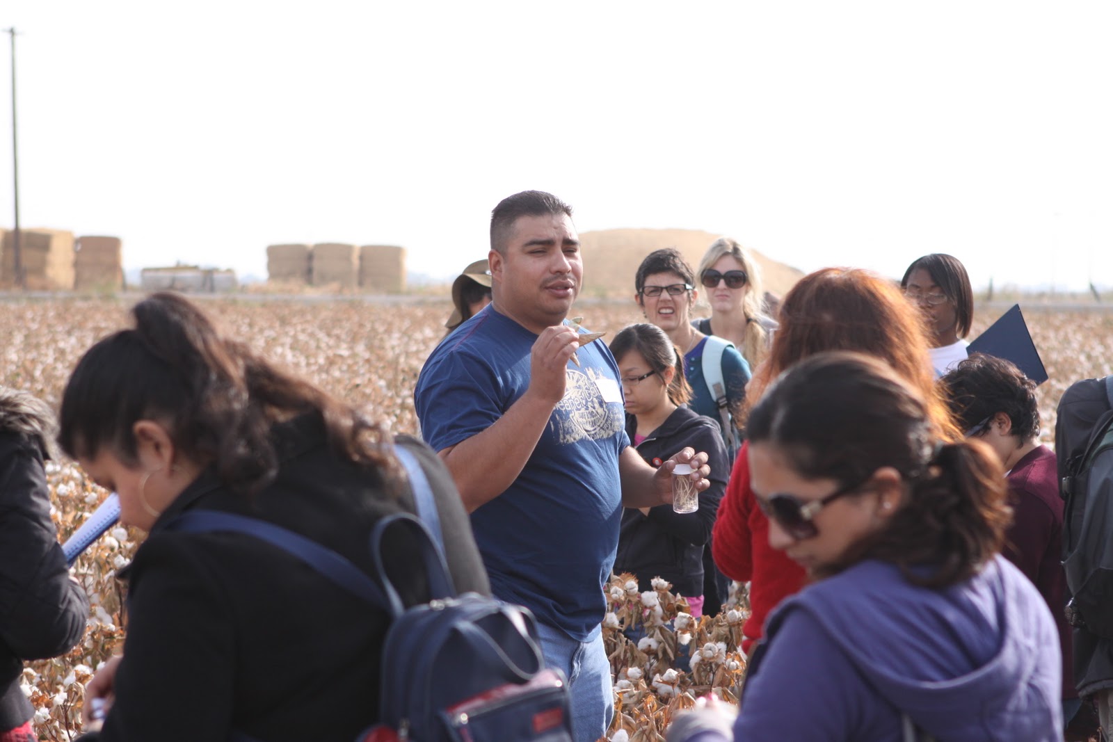 Sustainable Ag: A View from the Field: Better Late Than Never: It's ...