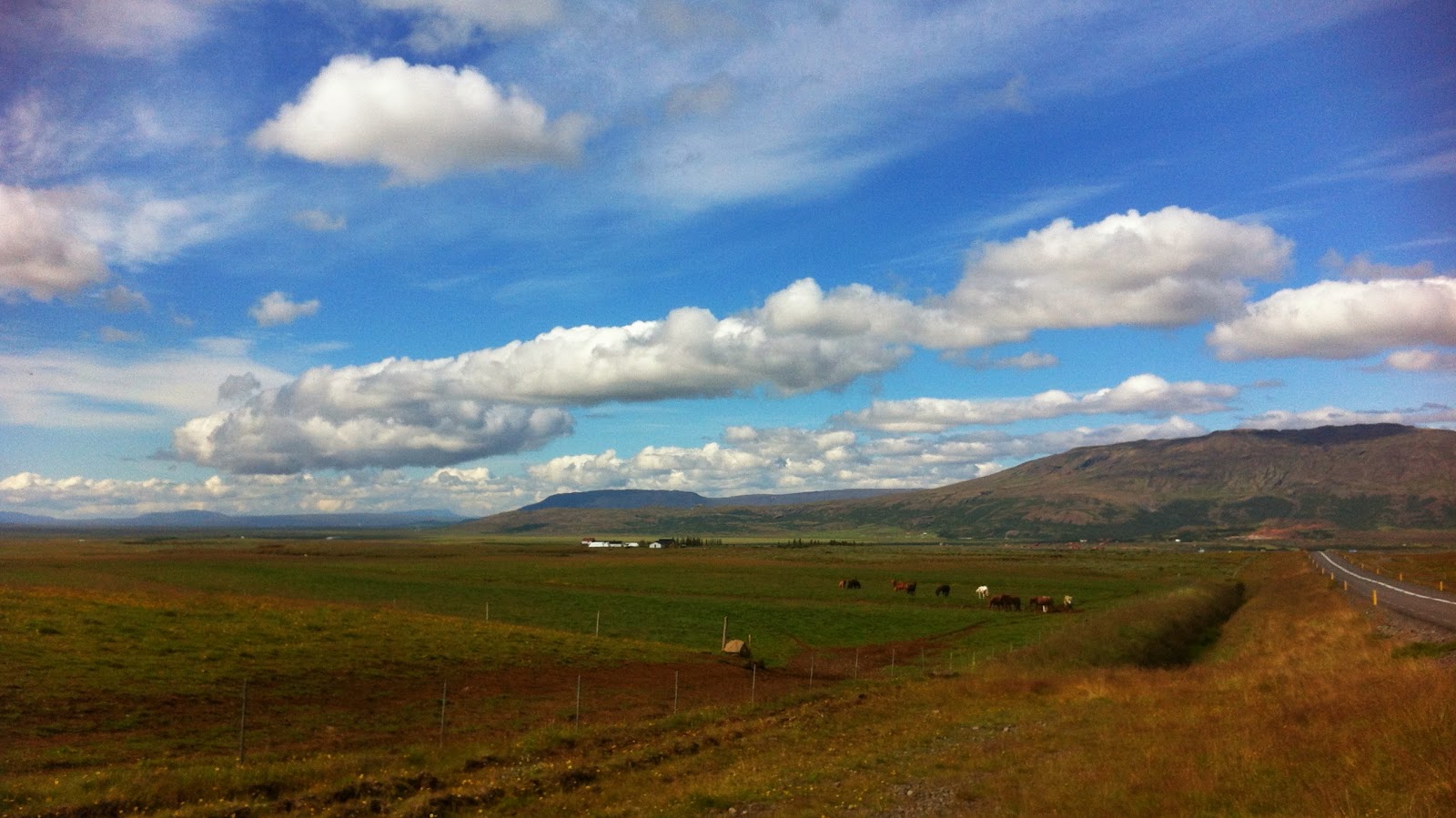 Cantabridgette: Icelandic Countryside