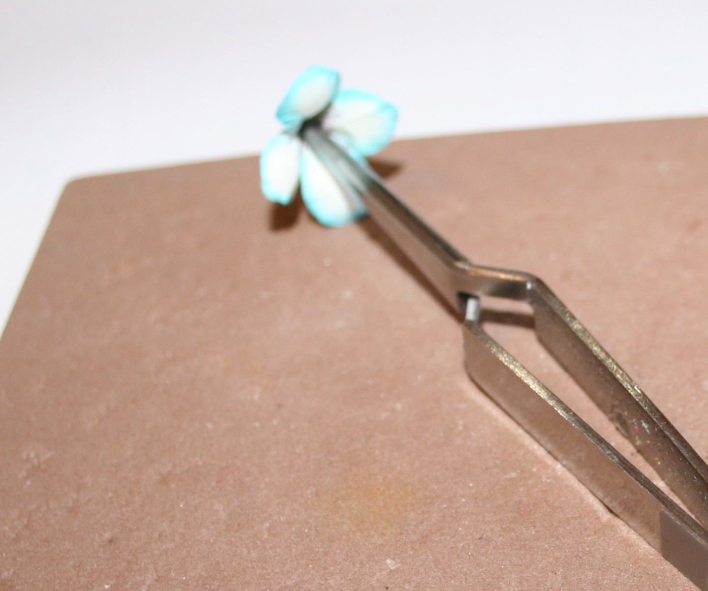 Artfully Minded Studio: Hydrangea punch made this flower, a photo ...