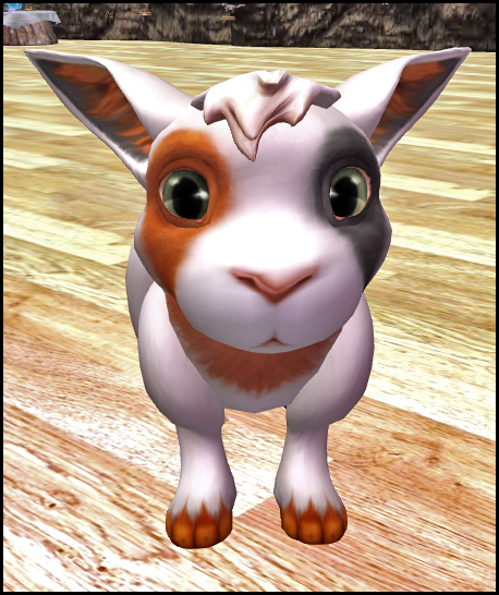 Fos Dagger's MyRoos: The Meeroo from Japan