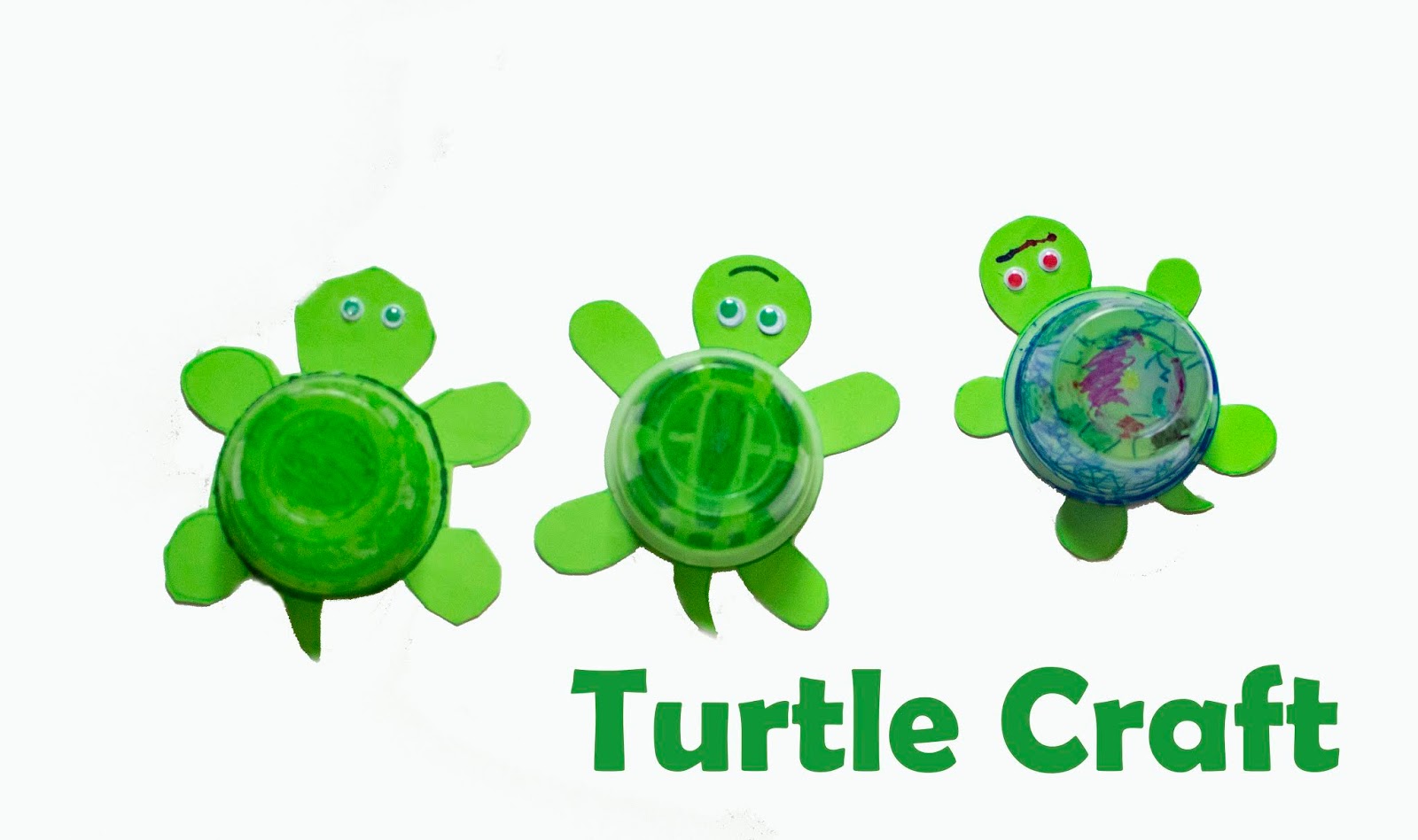 What I Live For: Recycled Turtle Craft