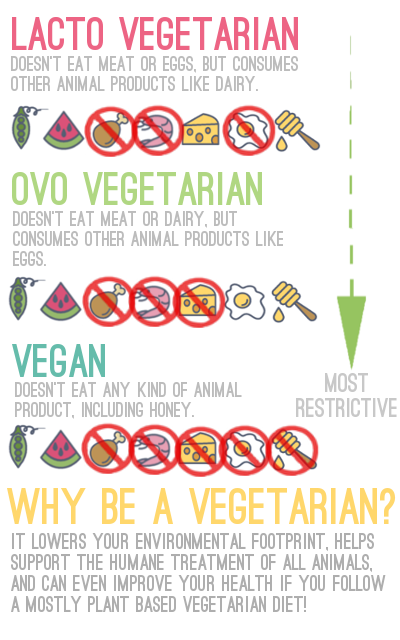 3 Course Meal For Lacto Vegetarian Diet - dynagala