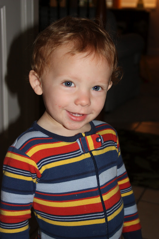 The Robinsons: Life of a 19-21 month old boy