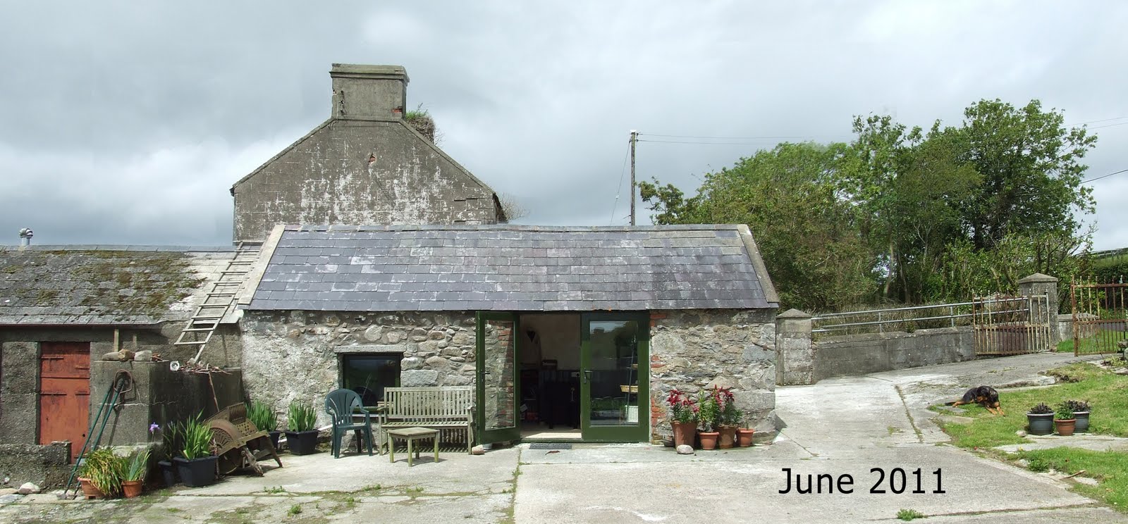 Turnip House Blog: Before and After