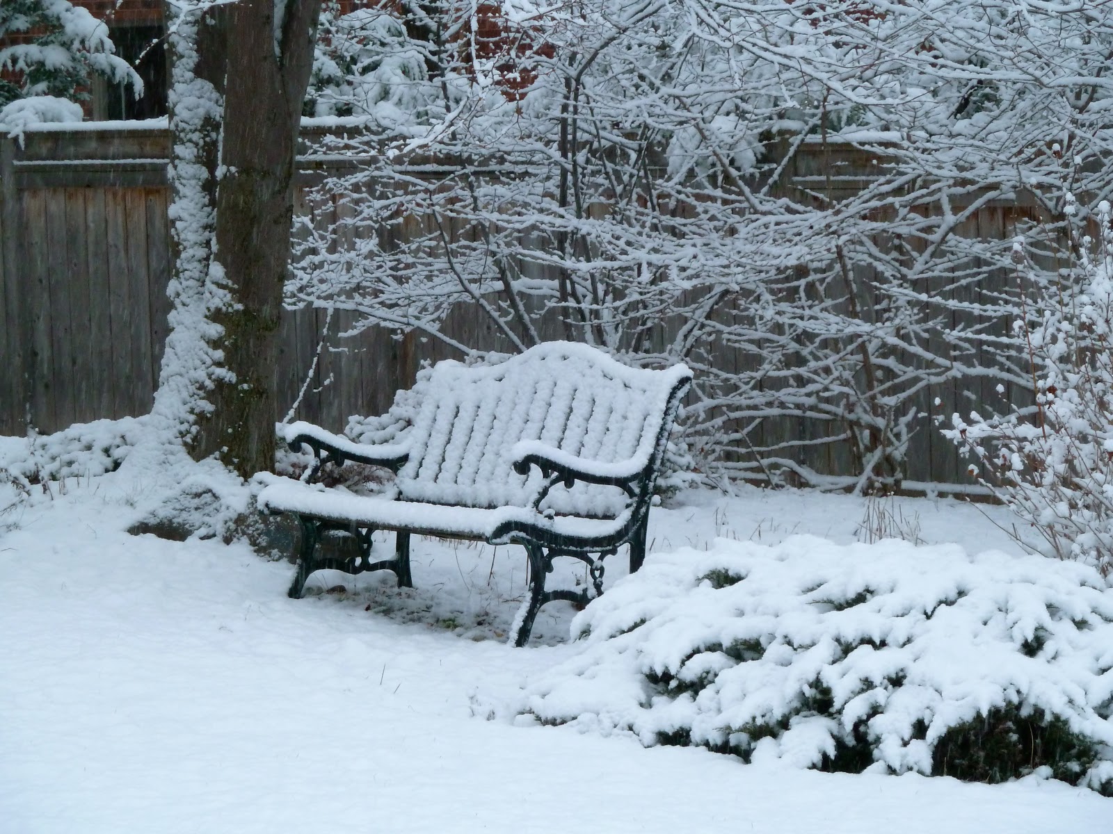 Astrid's Garden Design: Garden Design in a Snowy Landscape