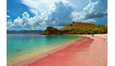 Liburan Seru ke Pantai Pink di Lombok - Wisata Indonesia