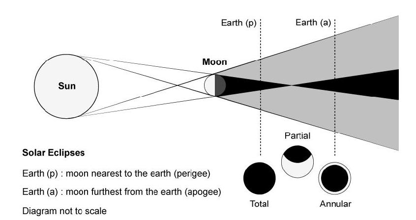 My Teaching Garden: Eclipses
