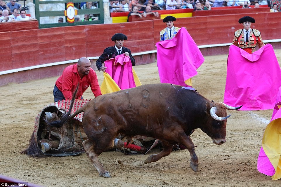 Four legged friends (and enemies): Heartbreaking: Shocking moment ...