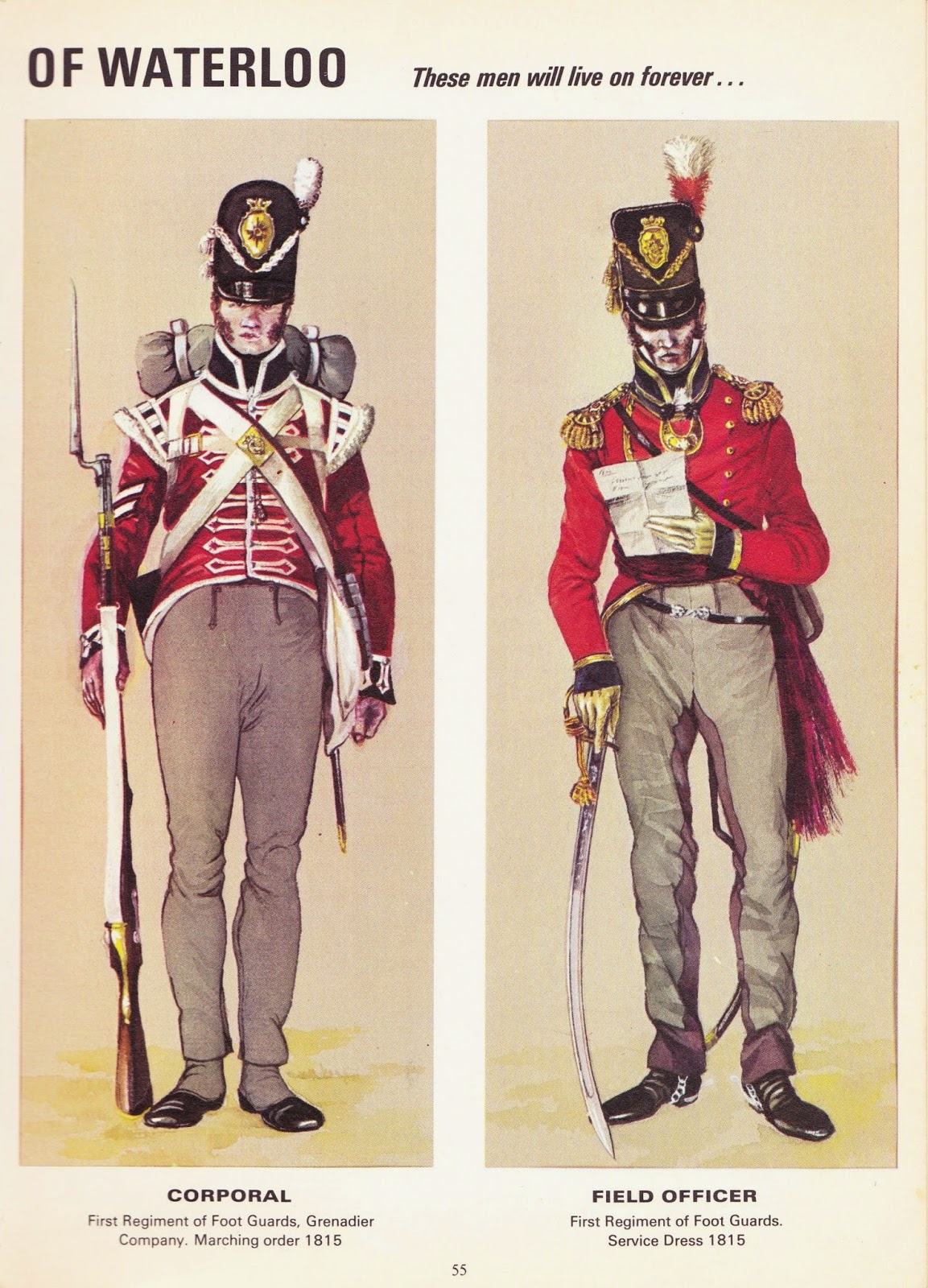 JJ's Wargames: Waterloo 200 - The Bicentenary of the Battle of Waterloo ...