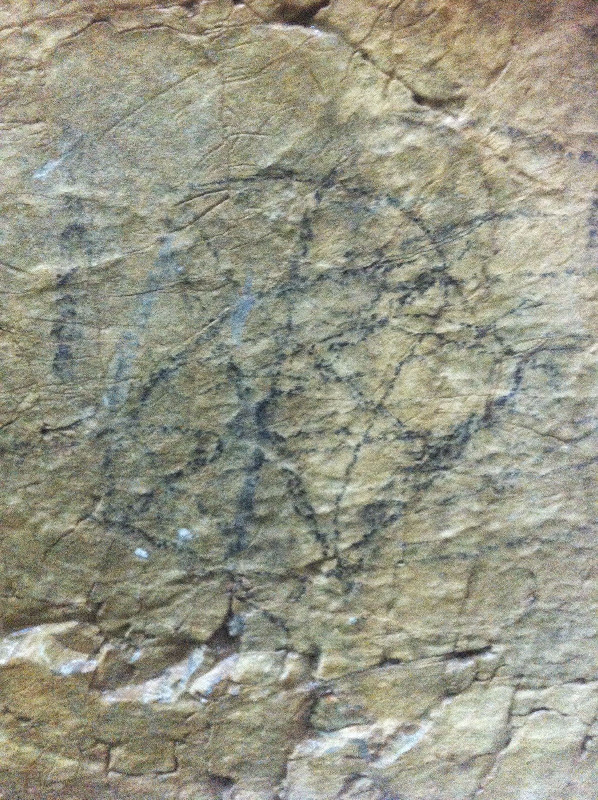 Lucrurile nu sunt niciodata ceea ce par a fi!: Desene Rupestre Valea ...