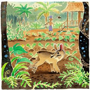 Finding Neverland Blog: The Adventures of Mouse Deer!