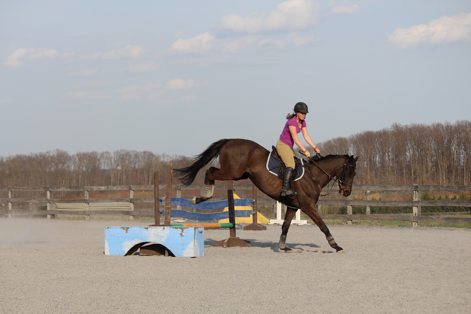 Spring Training Canter Exercises