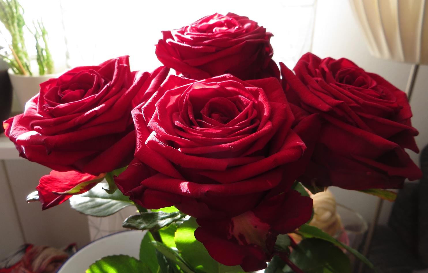 Hetanan huvitukset: Leivontaviikko