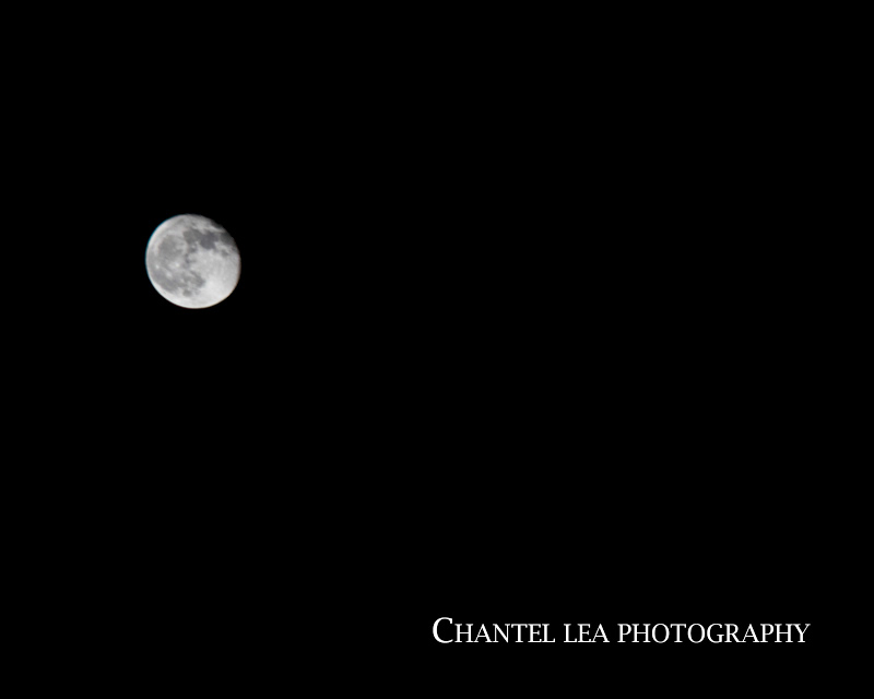 NJC Art 139 : Digital Photography