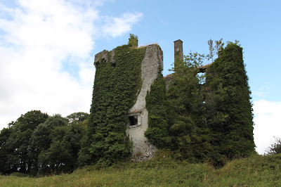 Historic Sites of Ireland: Castle Hackett