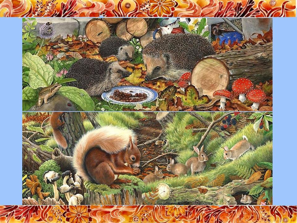 Soloillustratori: Tracy Hall