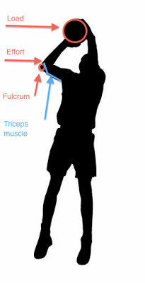 Basketball Jump Shot Biomechanics