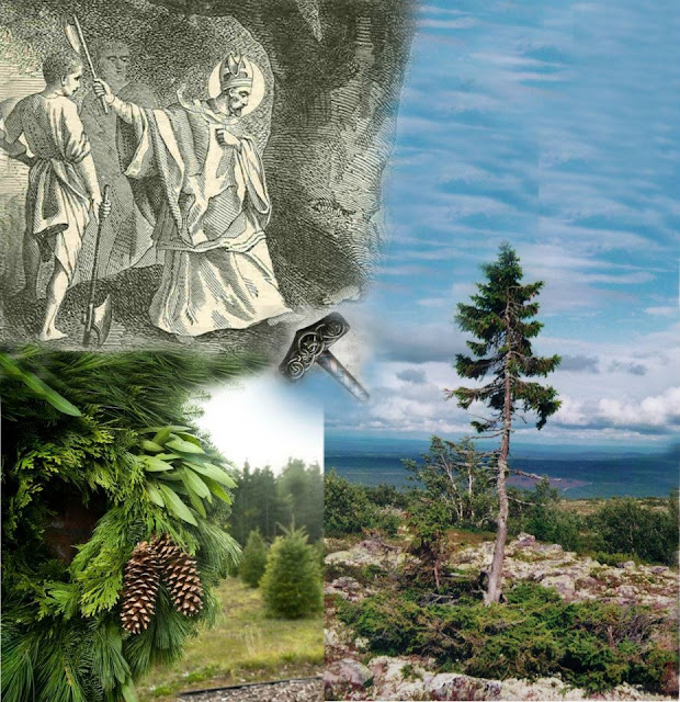 Freyja Hof's Muse: Odinism and the Rebirth of Nature