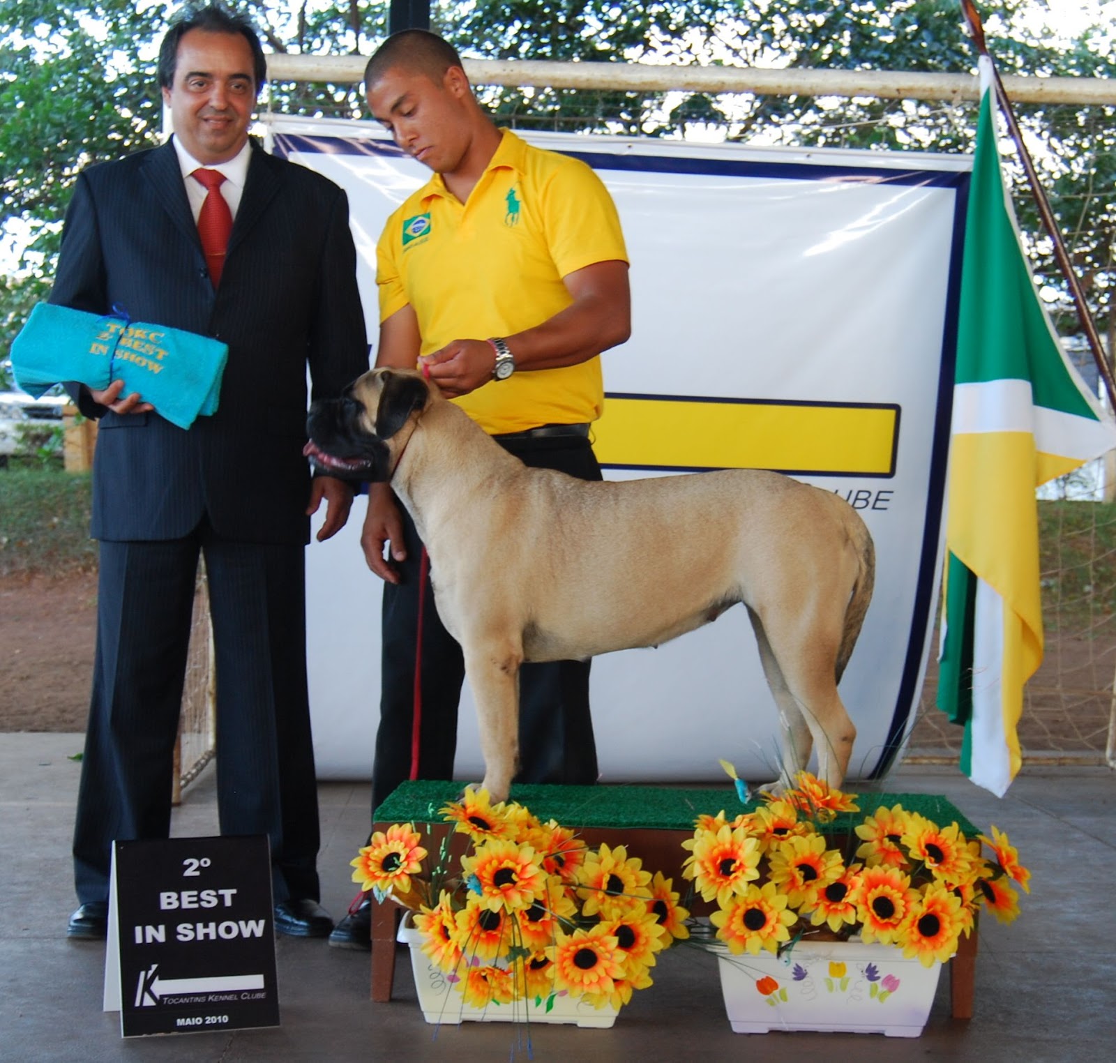 CANIL VILAMENDHOO: 5 BIS - BEST IN SHOW - PORTO ALEGRE E TOCANTINS