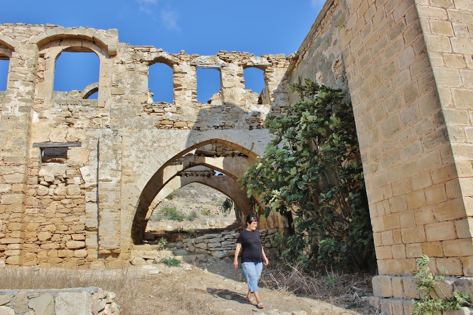 Biodiversity of Cyprus by NGO Protection of the Natural Heritage and ...