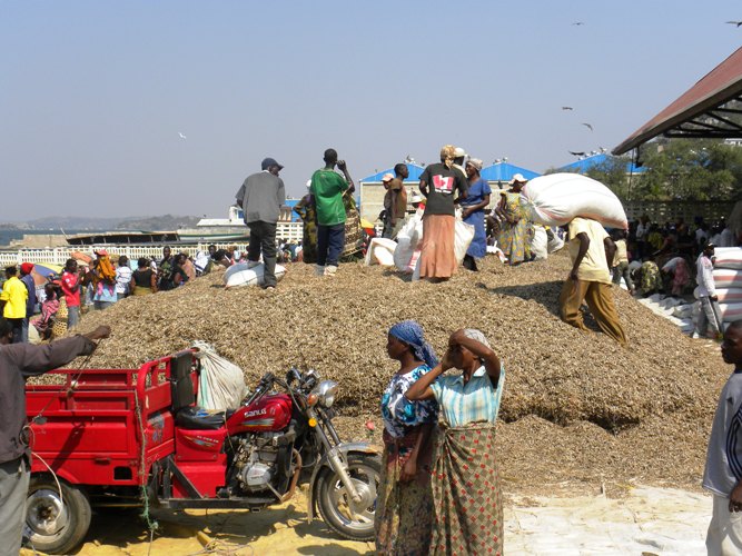 TEMBEZA MACHO NA PICHA ZA UDIFERENTI SOKO LA KIMATAIFA KIRUMBA MWALONI ...