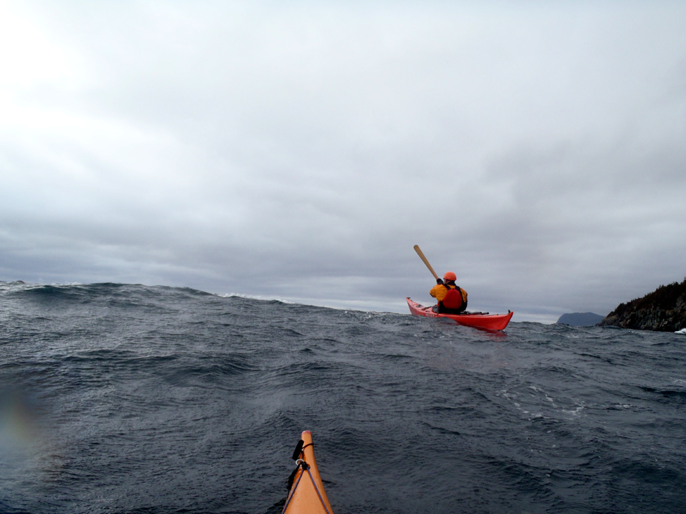 My Newfoundland Kayak Experience: Surf's up!