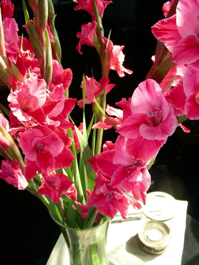 clocktowertenants.com: glad rags