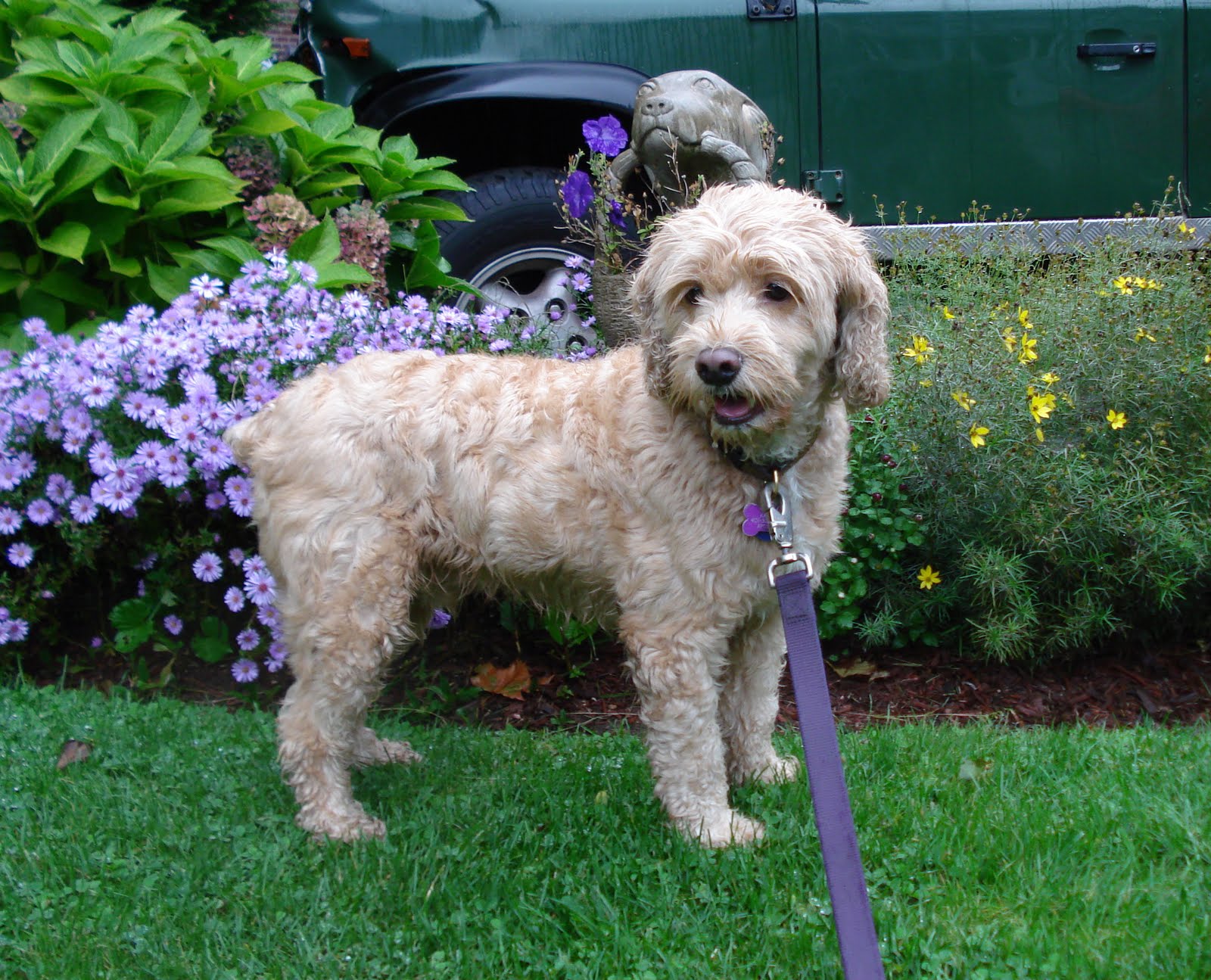 A view from the furry side: April 2011