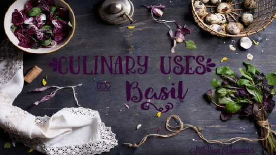 Culinary Uses for Basil