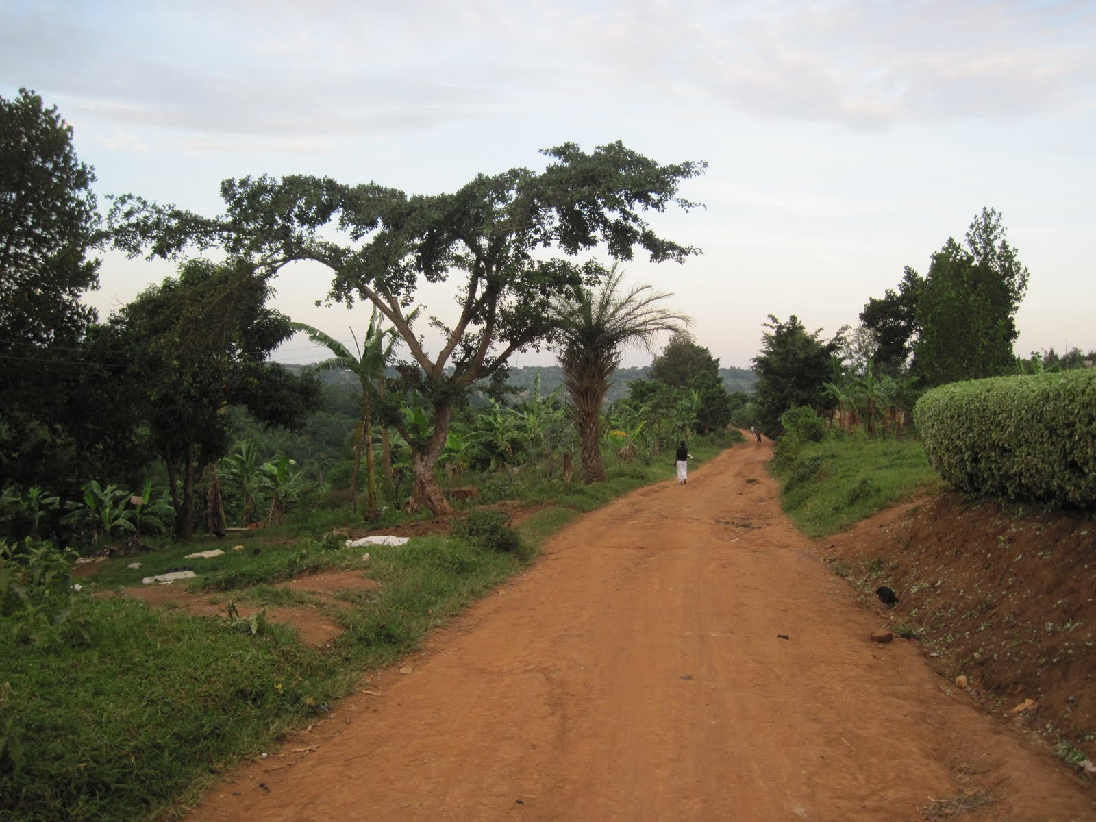 Oh MG: Hello from the town of Kalisizo