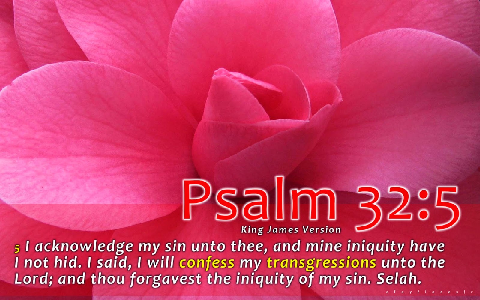 †MIGHTY WARRIOR BLOG † : Psalm 32, word, testimony and song.