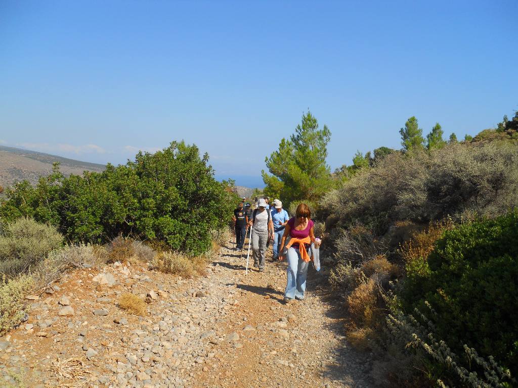 EXPLORE MOUNTAINS: ΜΟΝΟΠΑΤΙ Ε4 : ΜΟΝΑΣΤΗΡΑΚΙ - ΑΓΙΑ ΑΝΝΑ (ΘΡΥΠΤΗ)