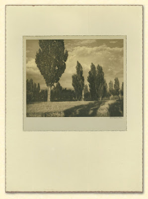 Early New Zealand Photographers: CHANCE, George