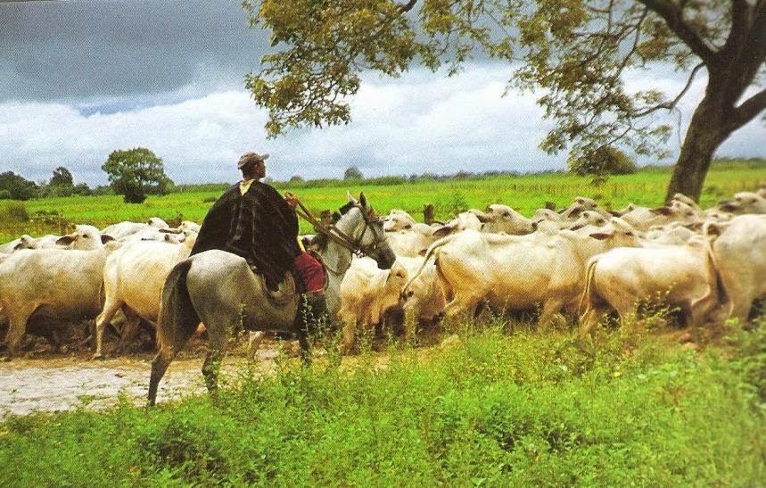 Memorias 24: Mayo (Almanaque Llanero)