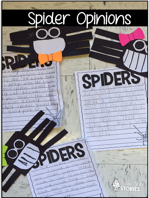 Spectacular Spiders! - Second Grade Stories