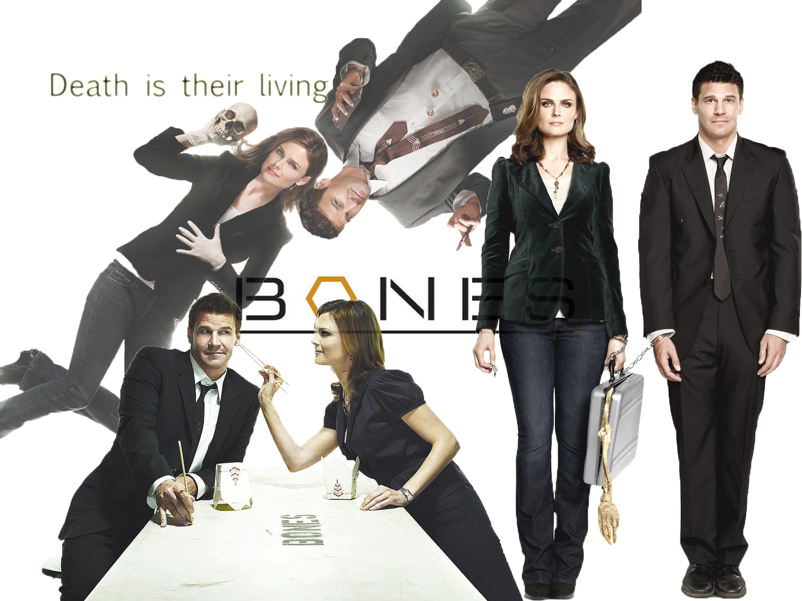 Bones Poster Gallery | Tv Series Posters and Cast