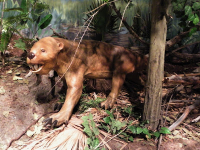 BONE ROOMS: April 2017