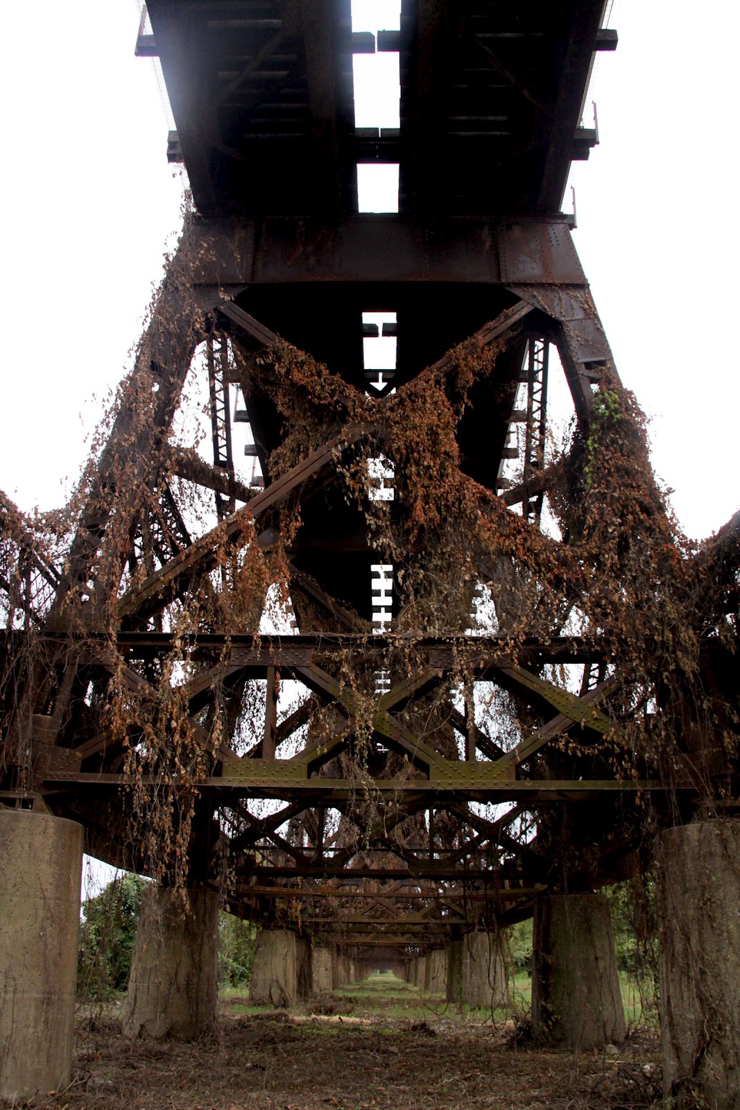 Time Fishing: Under the Harahan Bridge
