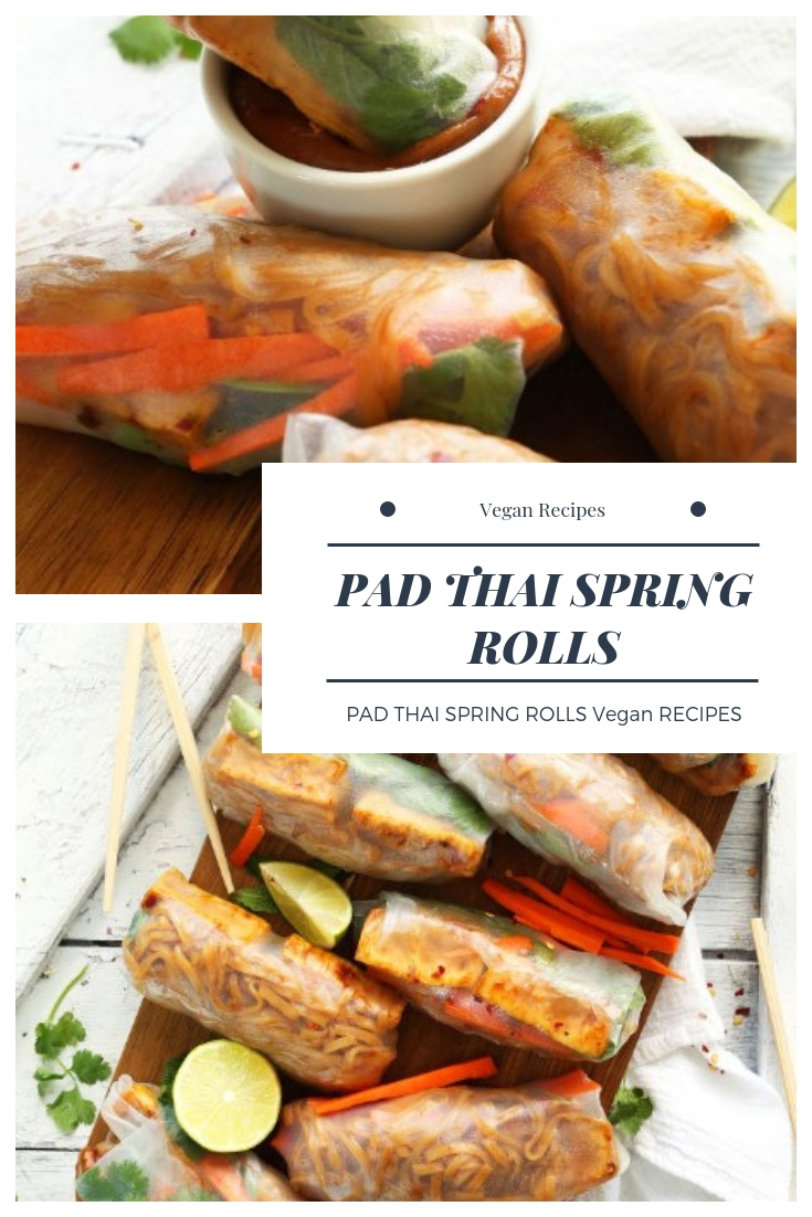 PAD THAI SPRING ROLLS | Salty Sweet Recipes