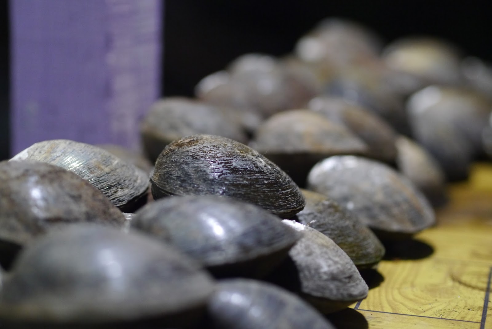 The Aquaculturists: 10/01/2017: State’s shellfish aquaculture program ...